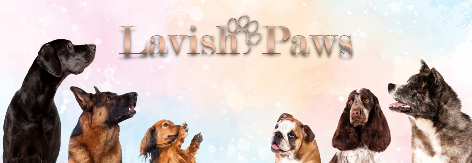 Lab-Formulated Dog Supplements | Lavish Paws®